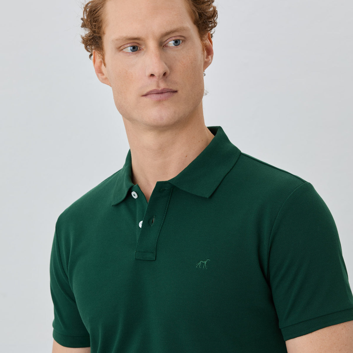 Polos Piqué | Homem | Sacoor Brothers