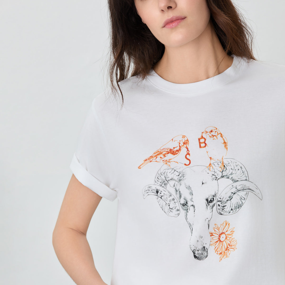 T-Shirt Regular Fit Em Algodão Orgânico Com Signo De Carneiro – Sacoor ...